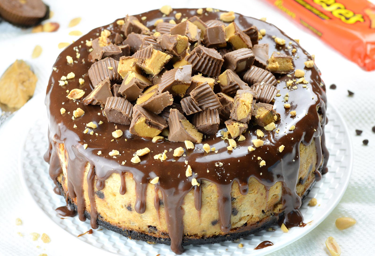 Chocolate Peanut Butter Cheesecake Recipe: Homemade Dessert (digital ...