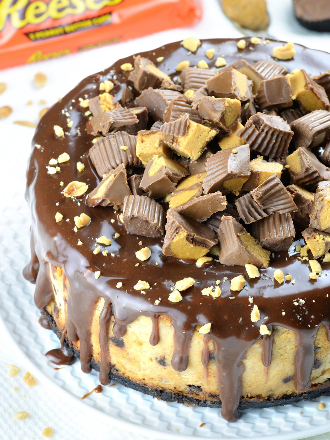 Chocolate Peanut Butter Cheesecake Recipe: Homemade Dessert (digital ...