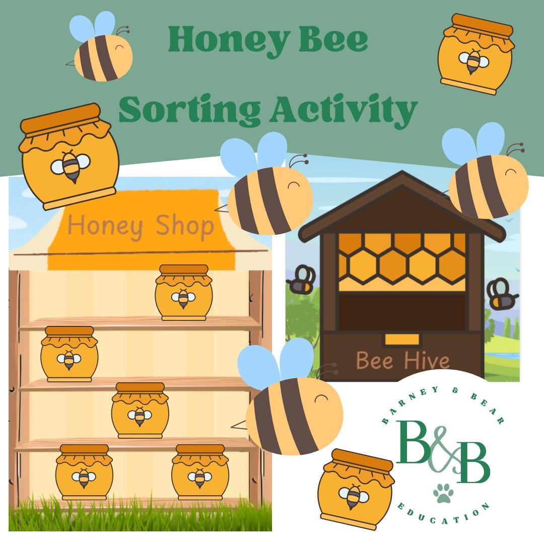 Sorting Activity Printable Preschool Home School Materials Maths Early ...