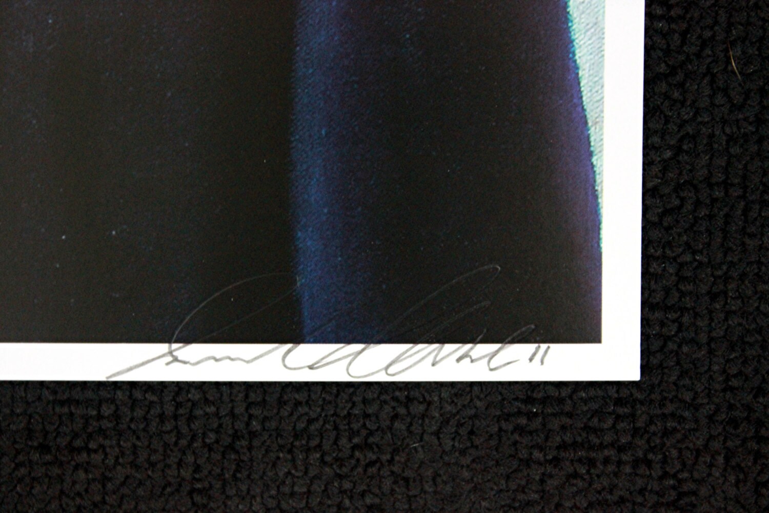 Pirate Art,walrus Ocean Art,pop Art,home Wall Decor,original Signed ...