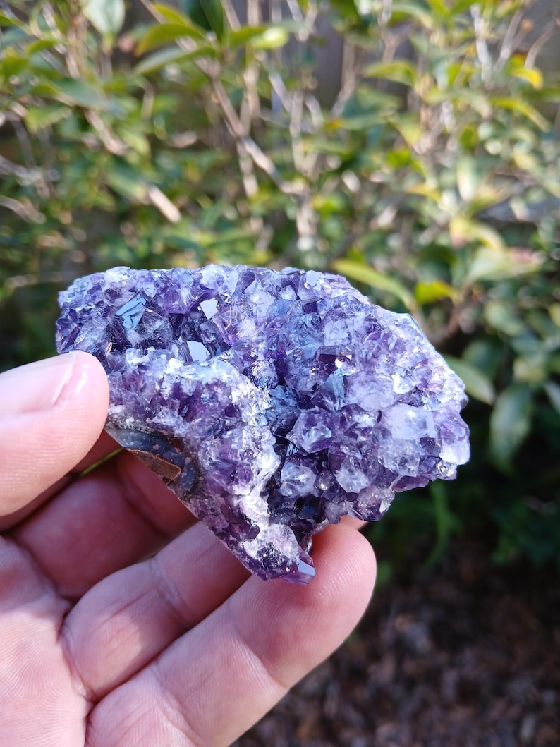 Amethyst Crystal Cluster on Matrix – Deep Purple Druzy Specimen From ...