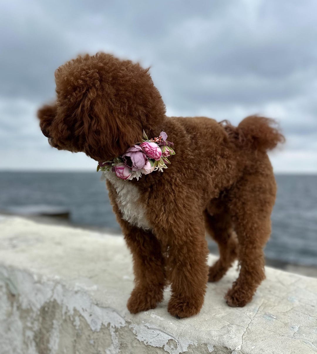 Dusty Rose Lilac Flower Crown Dog Collar Flower Crown, Dog Flower Crown ...