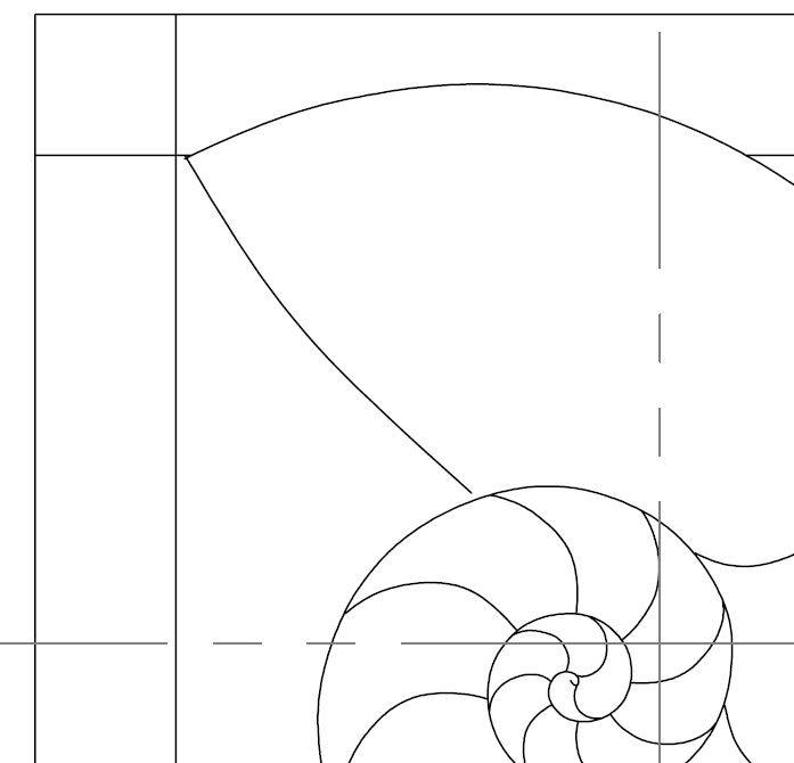 12 X 12 Stained Glass nautilus Shell - Etsy