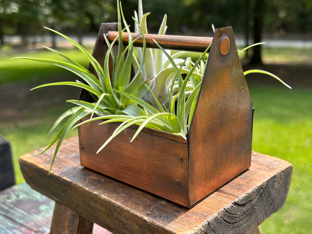 Small Tote Planter Davison Uphoff Country Ware Cute Air Plant Holder ...