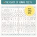 Human Teeth Chart, Colored and Outlined (SVG, PNG, EPS) - Etsy