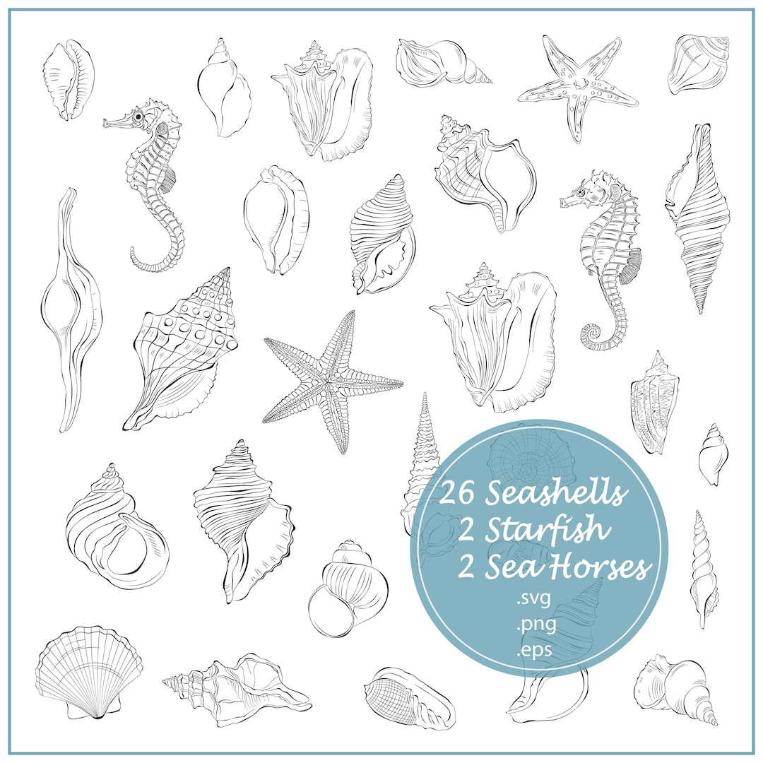 Seashell SVG, Seashell Cricut, Seashell Cut Files, Seashell Silhouette ...