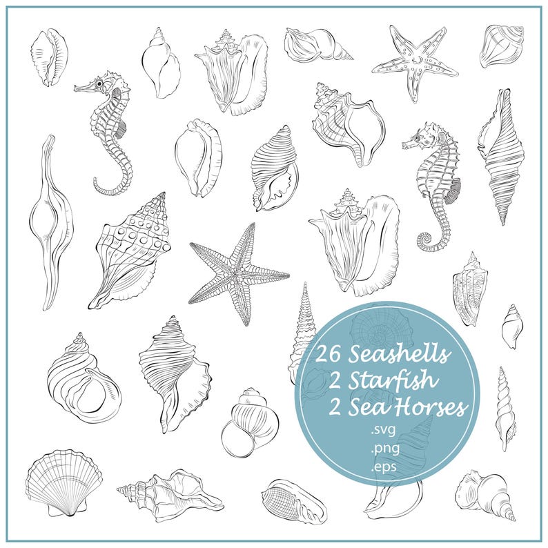 Seashell SVG, Seashell Cricut, Seashell Cut Files, Seashell Silhouette ...