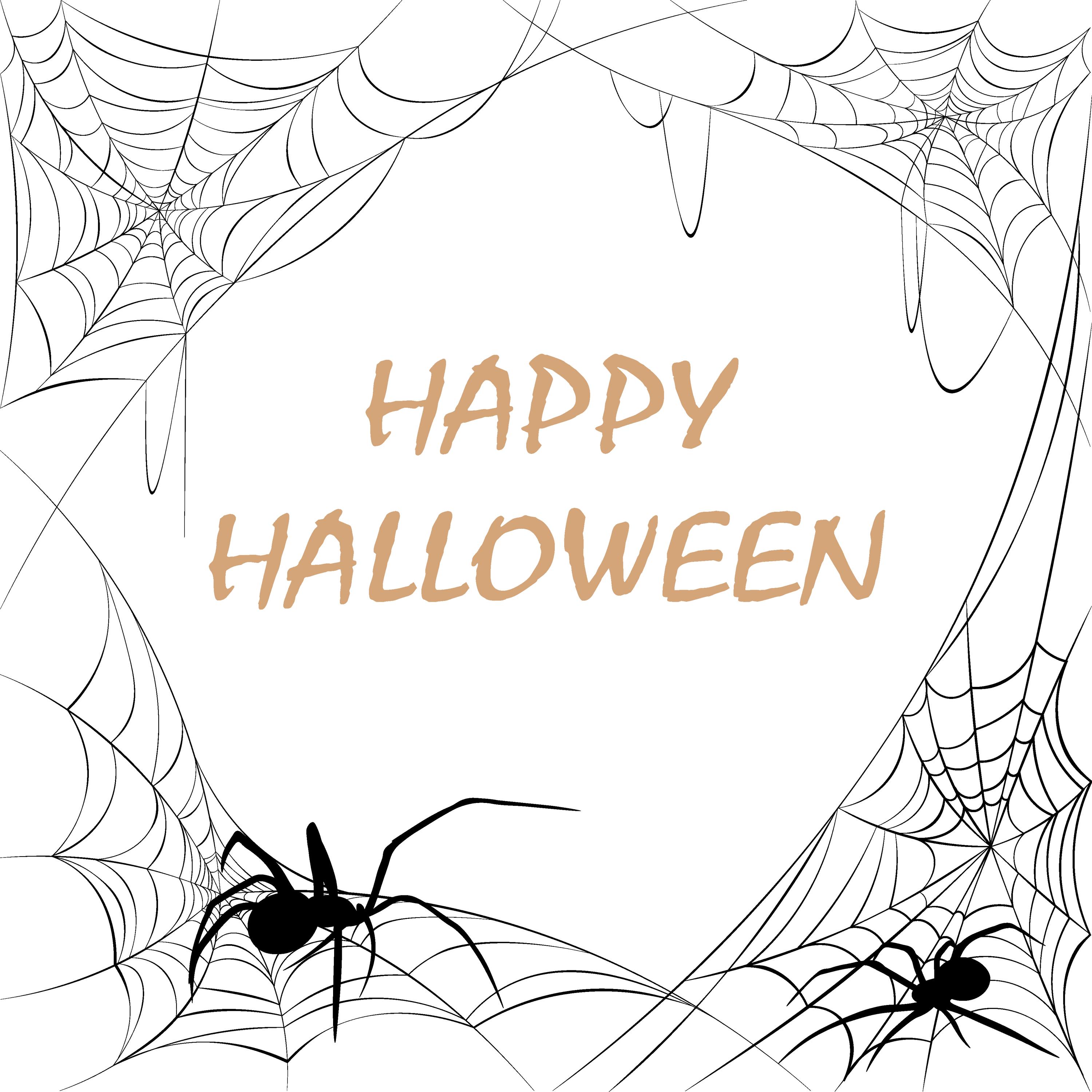 Spider Web Rectangle Frame SVG Halloween Spiderweb Frame SVG PNG - Etsy