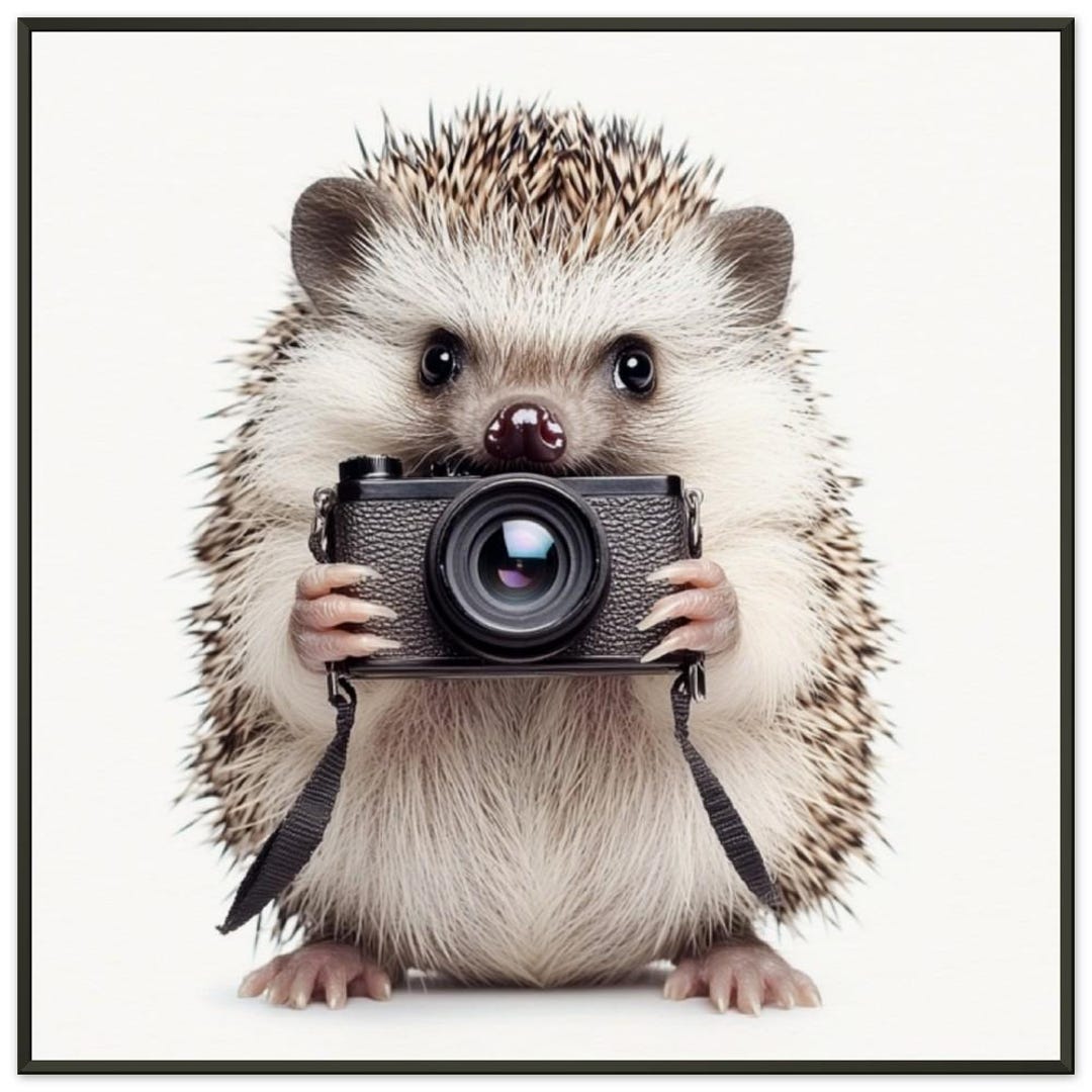 A Hedgehog With a Camera Capturing the Moment Poster 70x70 Cm - Etsy
