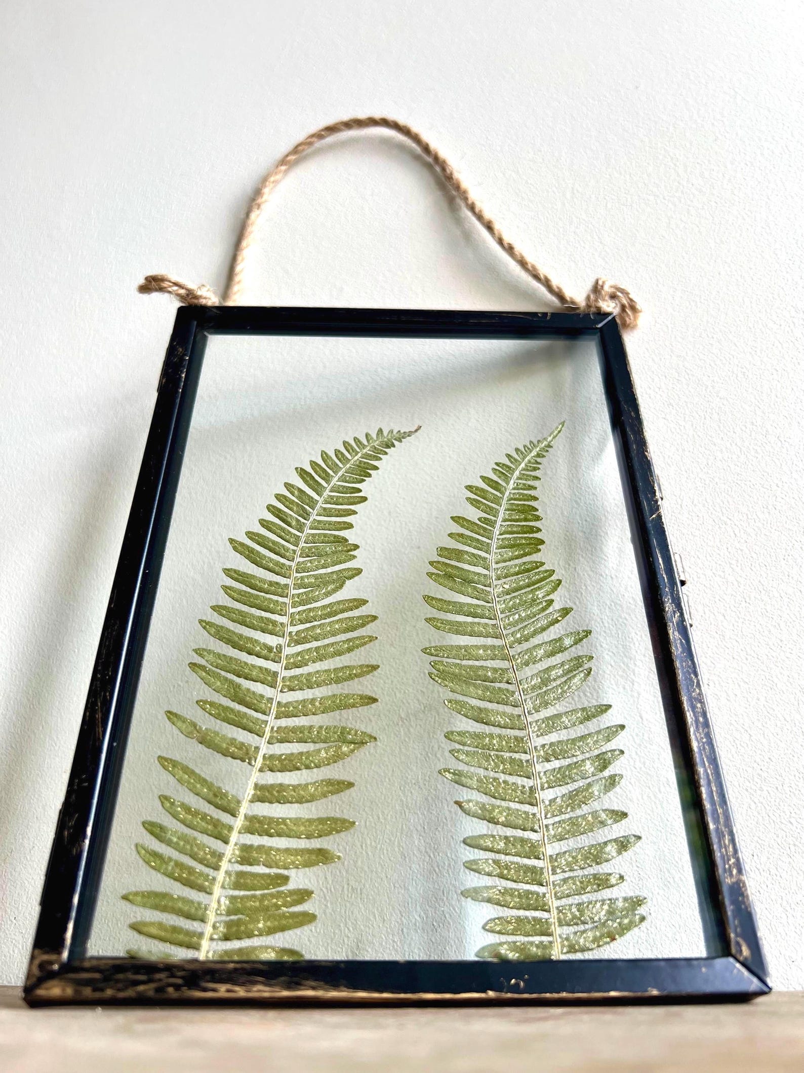Real Handmade Pressed Fern Wall Art | Rustic Glass Hanging Frame ...