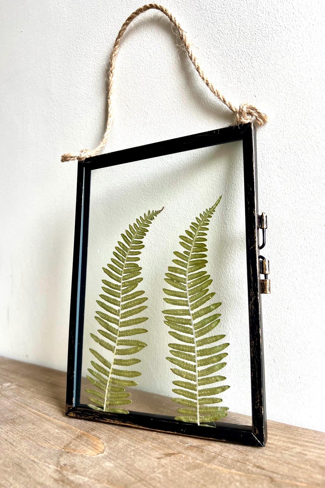 Real Handmade Pressed Fern Wall Art | Rustic Glass Hanging Frame ...