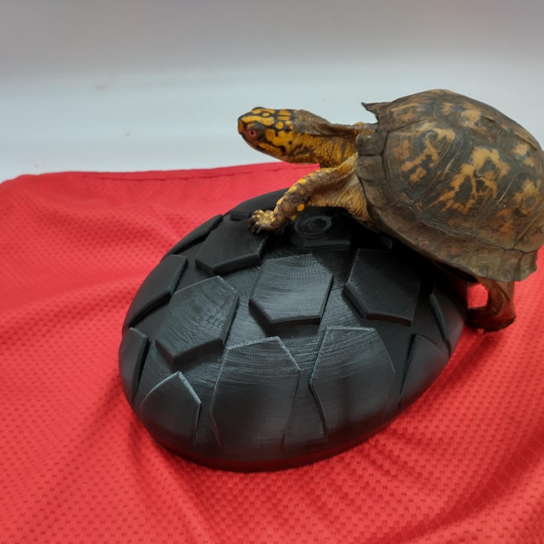 Muddy's Companion Tortoise Climbing Rock | Hexagonal Grip | Durable ...