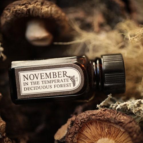 November in the Temperate Deciduous Forest™ Perfume Oil - Etsy