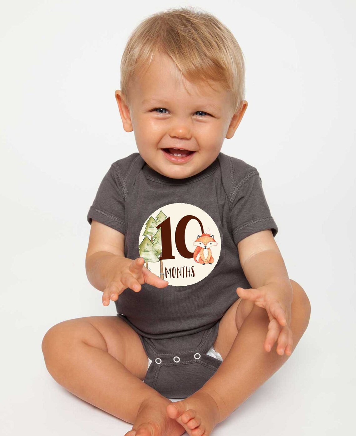 Baby Boy Rustic Month Stickers Boy Woodland Theme 1-12 Month | Etsy