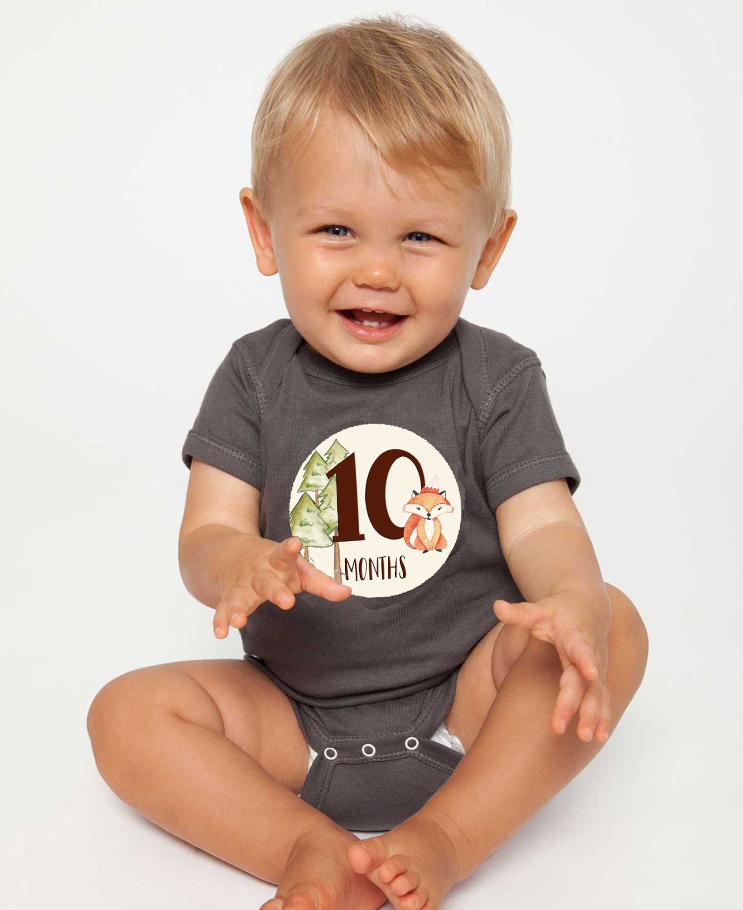 Baby Boy Rustic Month Stickers Boy Woodland Theme 1-12 Month | Etsy
