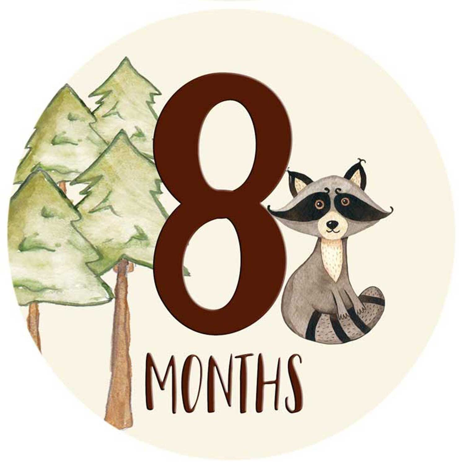 Baby Boy Rustic Month Stickers Boy Woodland Theme 1-12 Month | Etsy