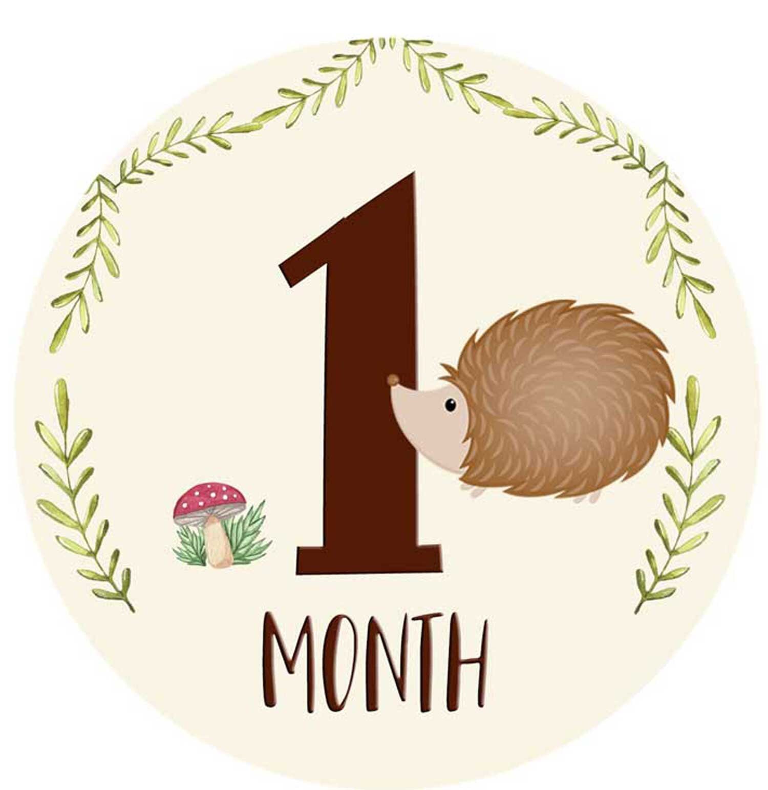 Baby Boy Rustic Month Stickers Boy Woodland Theme 1-12 Month | Etsy