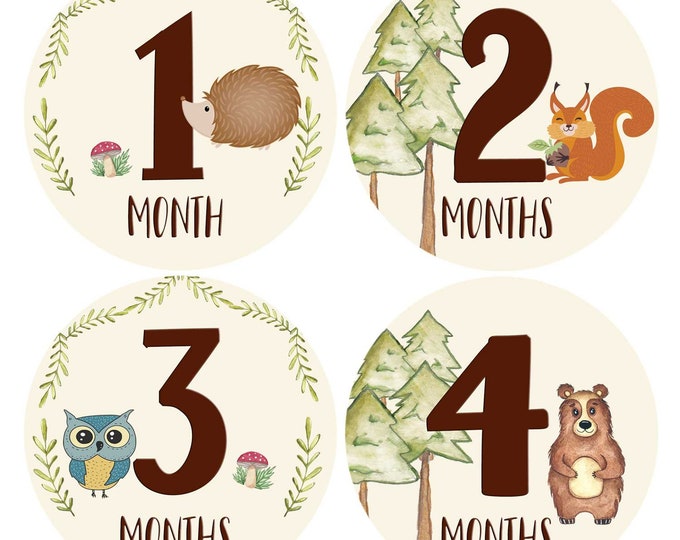 Baby Boy Rustic Month Stickers Boy Woodland Theme 1-12 Month | Etsy