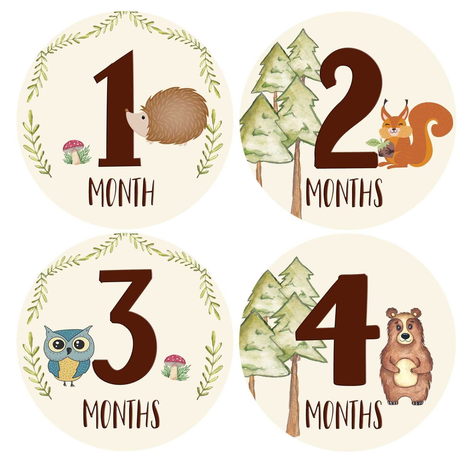 Baby Boy Rustic Month Stickers Boy Woodland Theme 1-12 Month | Etsy