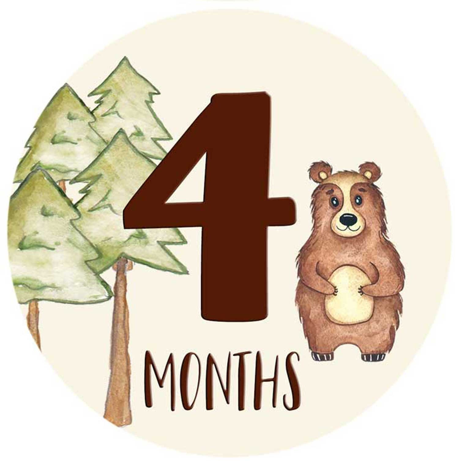 Baby Boy Rustic Month Stickers Boy Woodland Theme 1-12 Month | Etsy