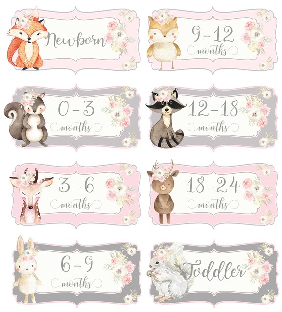 Baby Girl Nursery Organization Changing Table Labels for - Etsy