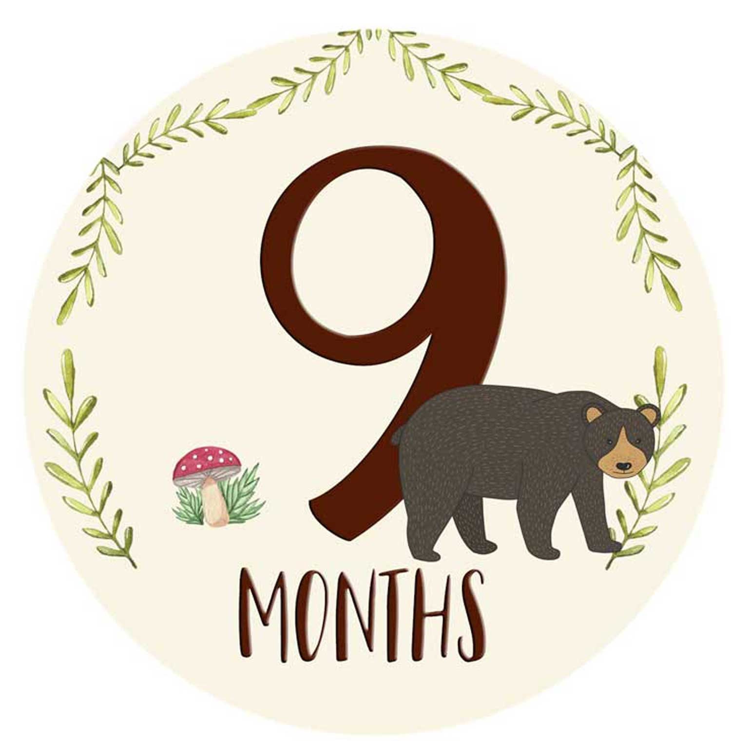 Baby Boy Rustic Month Stickers Boy Woodland Theme 1-12 Month | Etsy