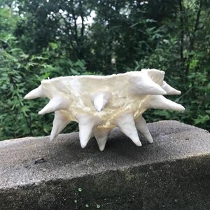 Paper Mache Spiky Bowl Nature-inspired - Etsy