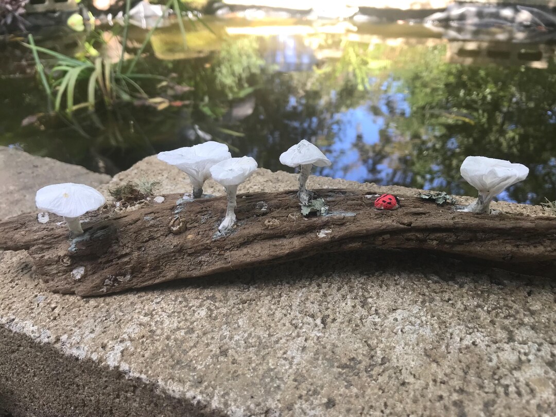 Mushroom Ladybug Paper Mache Art Sculpture Fairhopes Little Colony ...