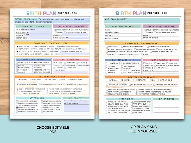 Birth Plan Template | Birth Plan Printable | Editable Birth Plan ...