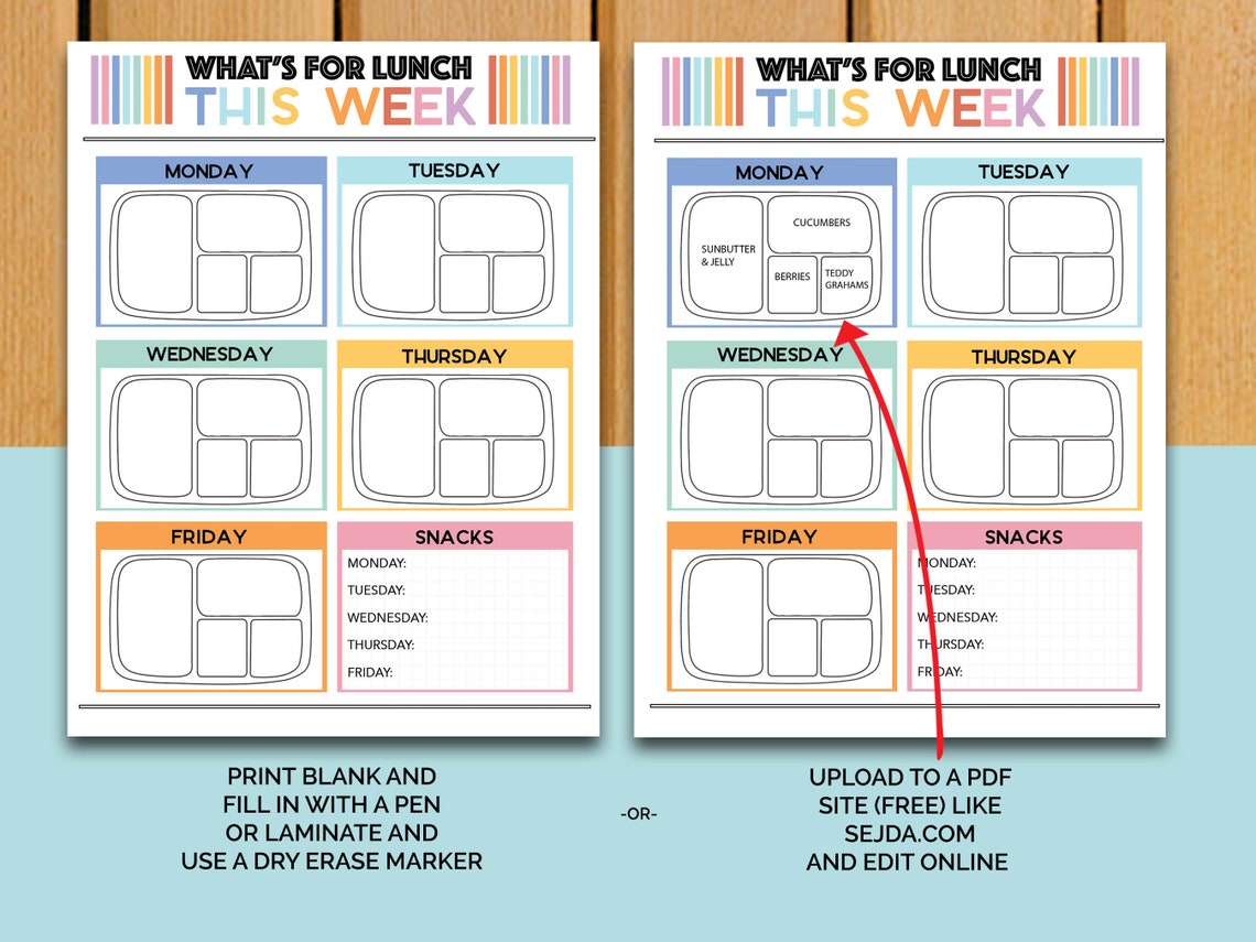 Bento Box Lunch Templates 5 Layouts Included Yumbox - Etsy