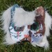 Norwegian Forest Blue Cat Mask - Etsy