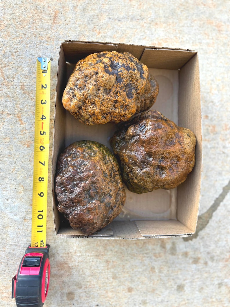Large Geodes (3-5lbs Each) Raw Quartz Crystal\ Unopened Geodes\ Quartz ...