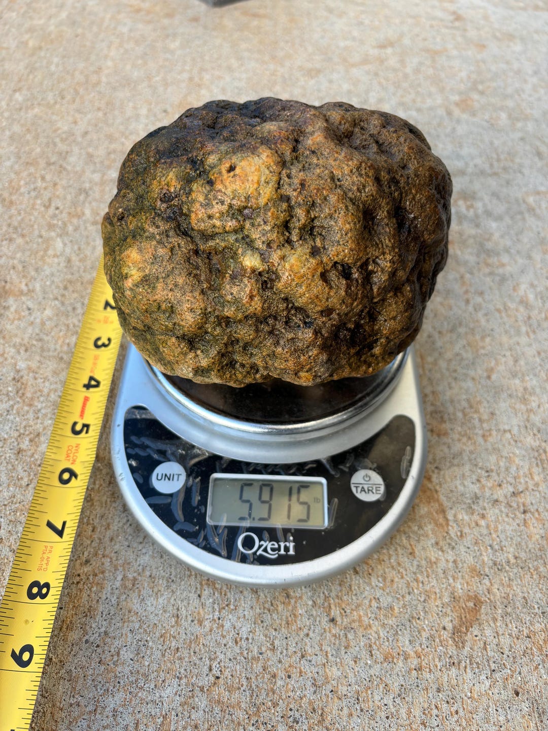 Large GEODES LOT 12-18lbs Hollow &/or Solid Lapidary Nodules Saw/break ...