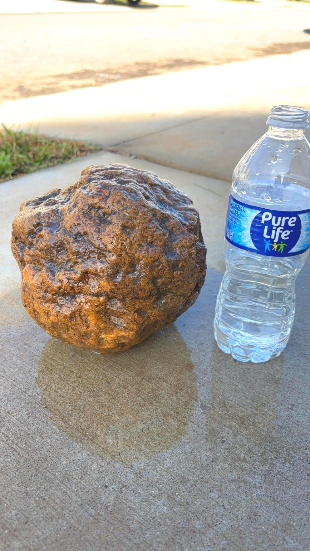 XL Geodes (6-9 Lbs) Unopened Quartz Crystal Geodes & Lapidary Nodules ...