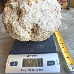 XL Geodes (10-14 Lbs Each) Raw Quartz Crystals Geodes Unopened ...