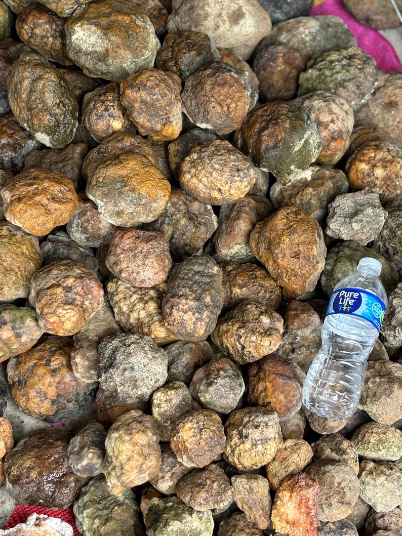 Unopened Geode Lot, Mixed Variety of Rattlers & Lapidary Nodules, Break ...