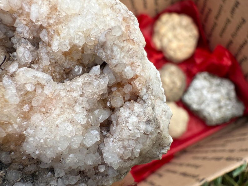 Unopened Geode Lot, Mixed Variety of Rattlers & Lapidary Nodules, Break ...