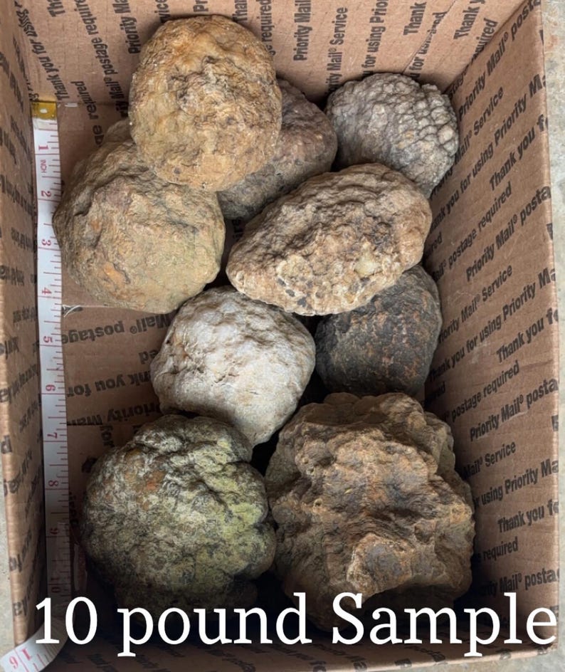 Unopened Geode Lot, Mixed Variety of Rattlers & Lapidary Nodules, Break ...