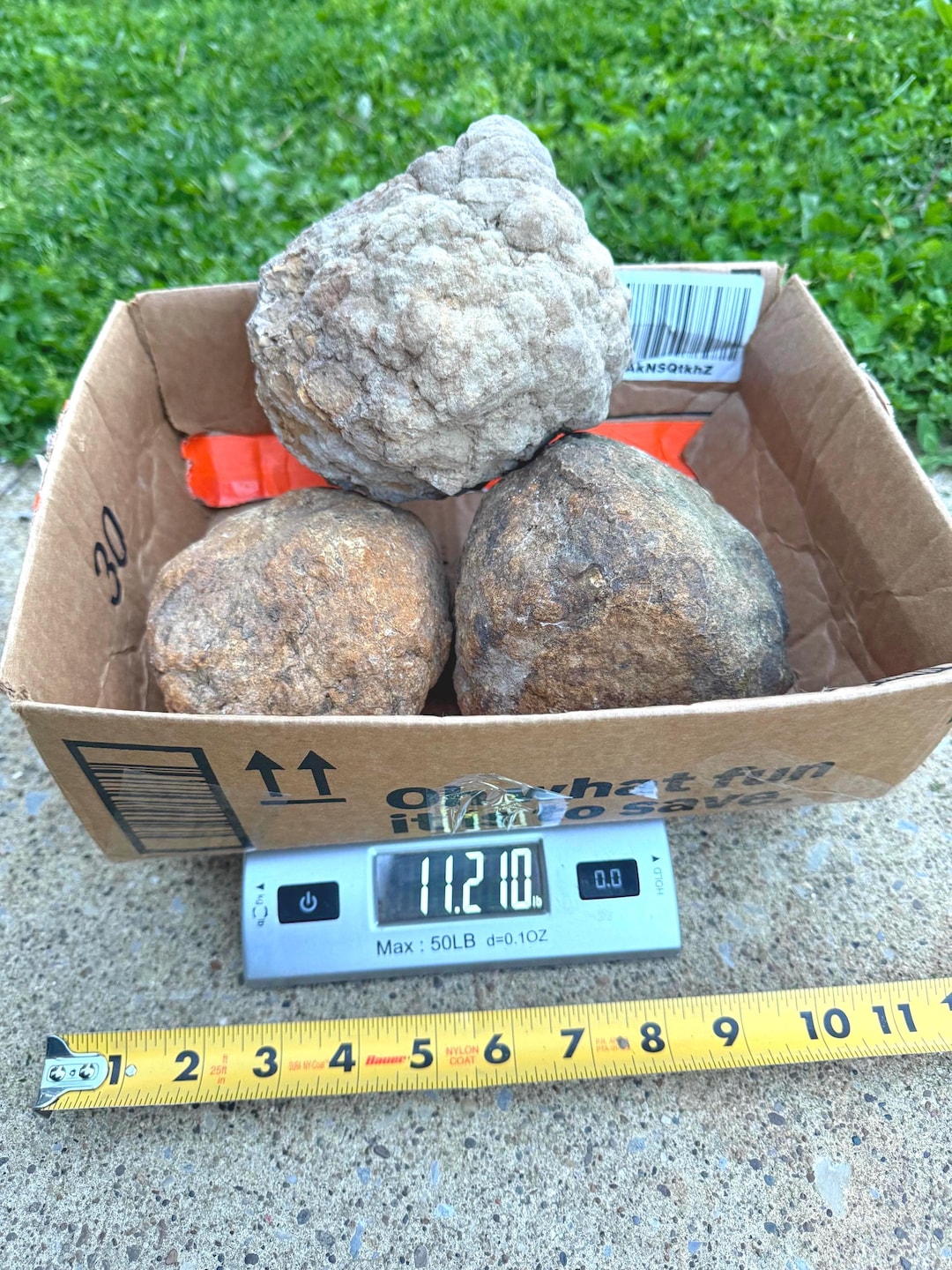 Large Geodes (3-5lbs Each) Raw Quartz Crystal\ Unopened Geodes\ Quartz ...