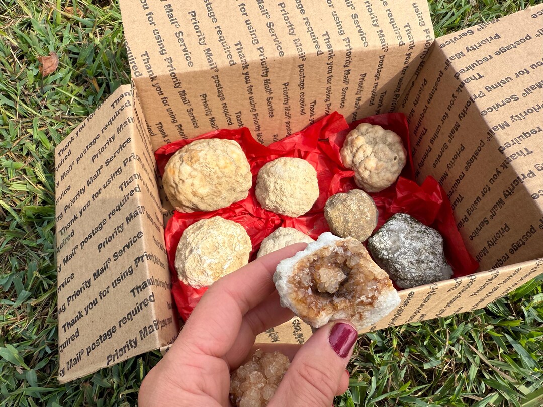 Unopened Geode Lot, Mixed Variety of Rattlers & Lapidary Nodules, Break ...