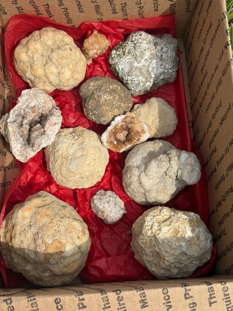 Unopened Geode Lot, Mixed Variety of Rattlers & Lapidary Nodules, Break ...