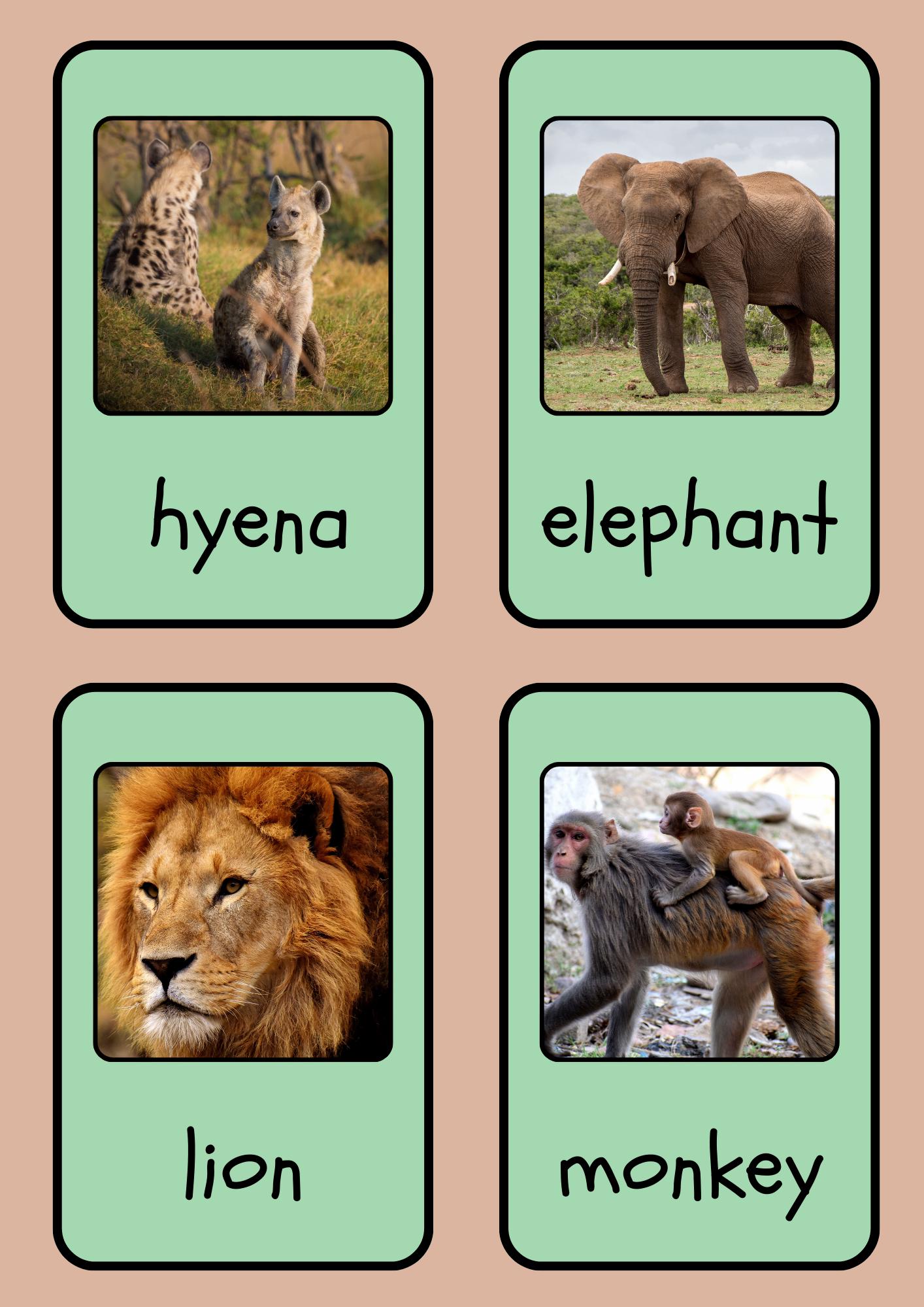 Wild Animals Flashcards - Etsy