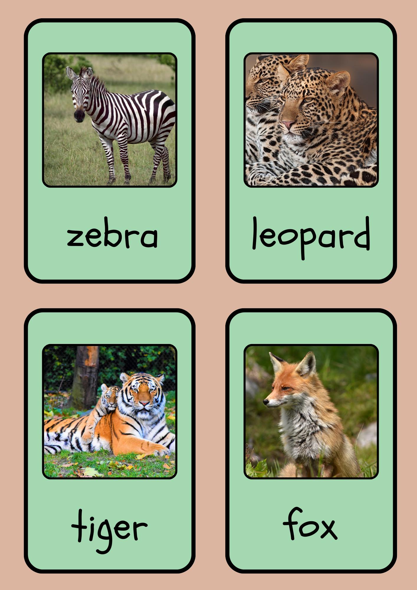 Wild Animals Flashcards - Etsy