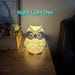 Owl Jar With Lights - Etsy