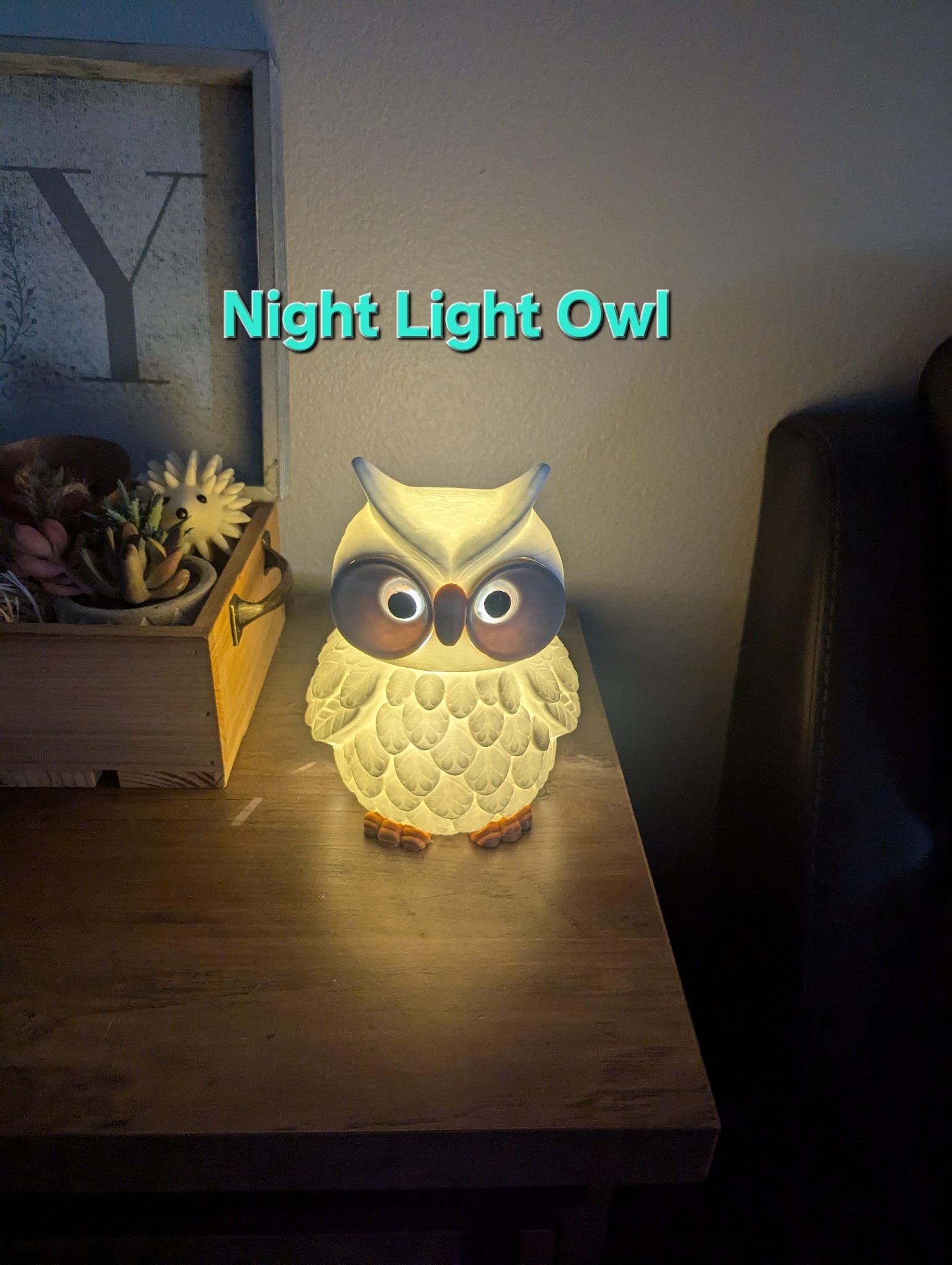Owl Jar With Lights - Etsy
