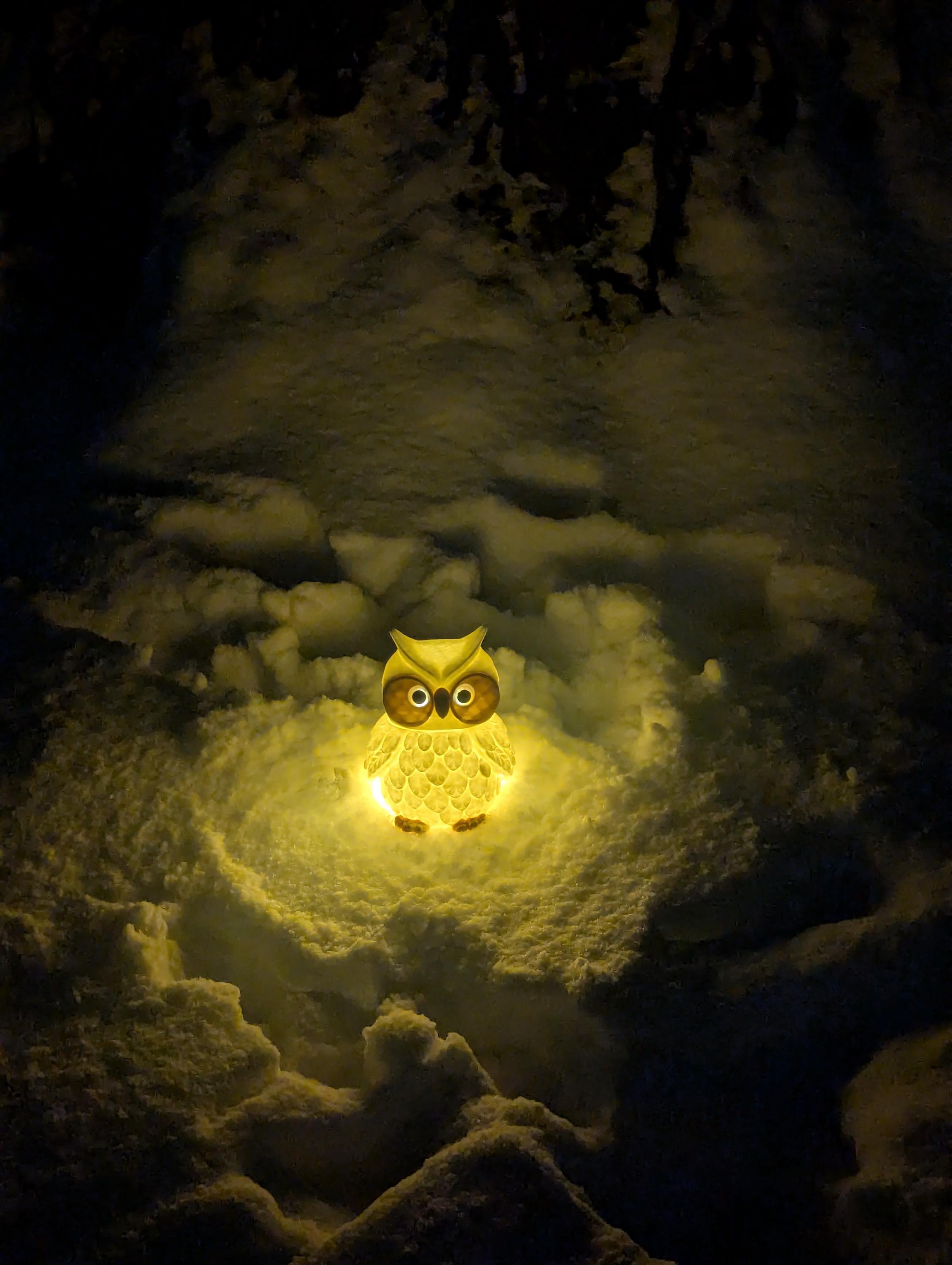 Owl Jar With Lights - Etsy
