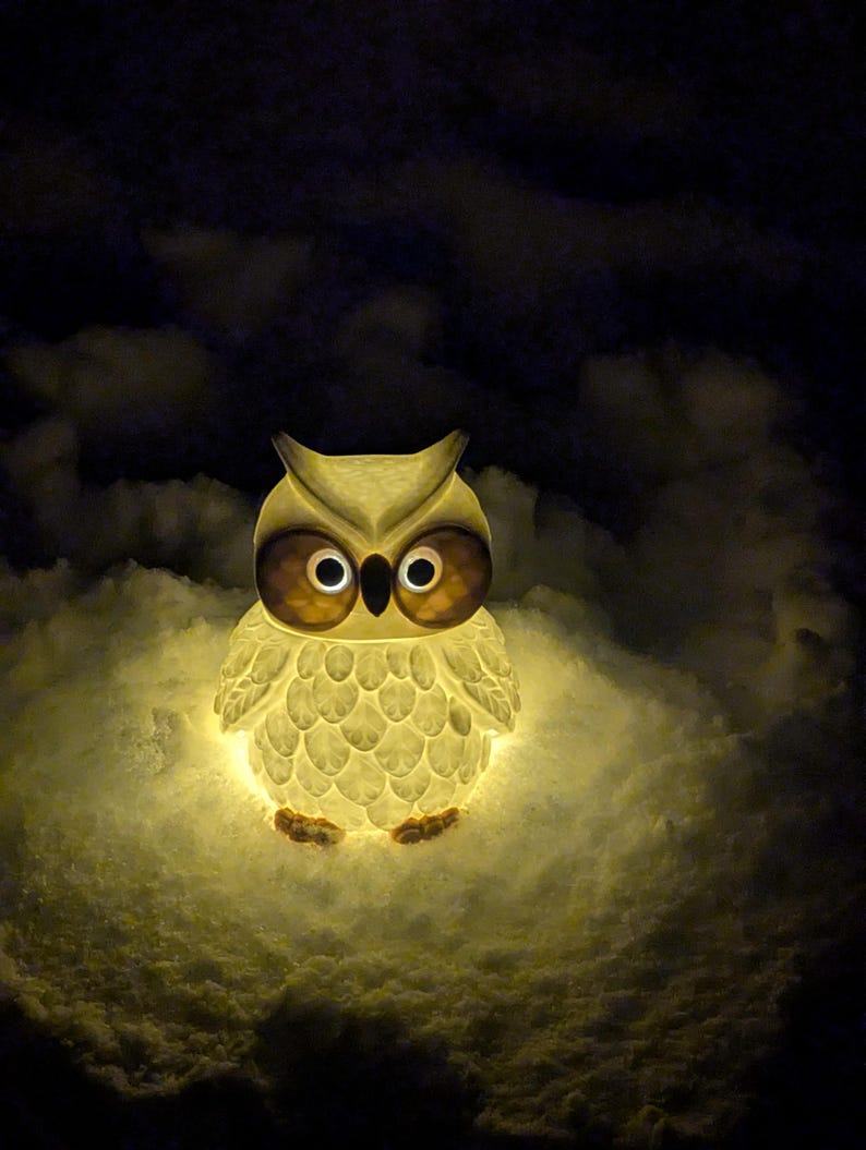 Owl Jar With Lights - Etsy