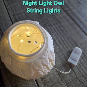 Owl Jar With Lights - Etsy