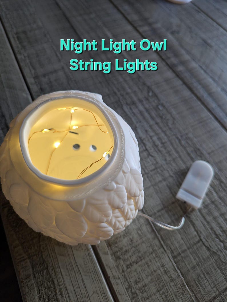 Owl Jar With Lights - Etsy