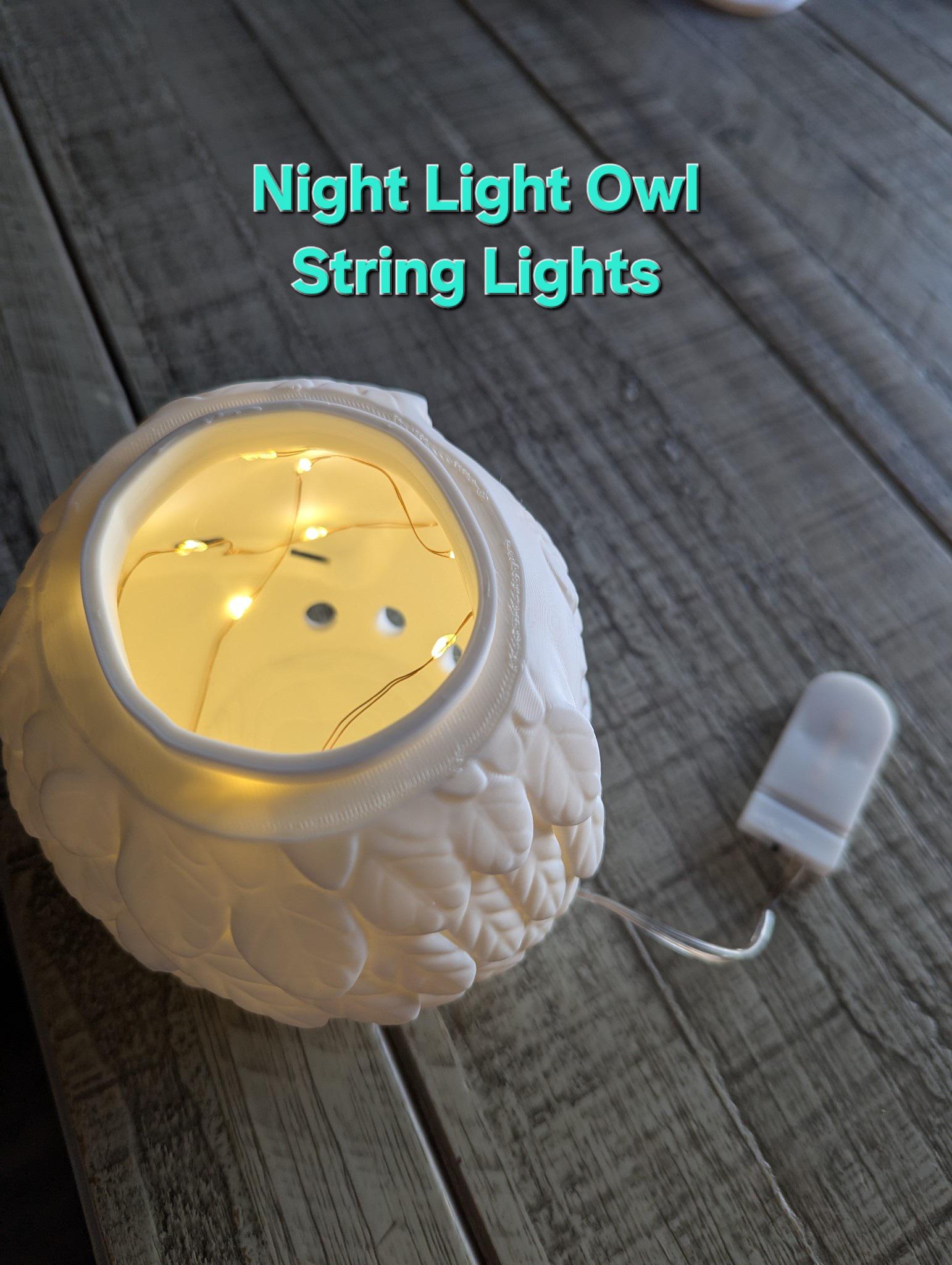 Owl Jar With Lights - Etsy